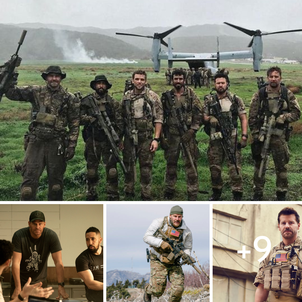 SEAL Breaking News: Unmissable Everything you need to know so far about ...