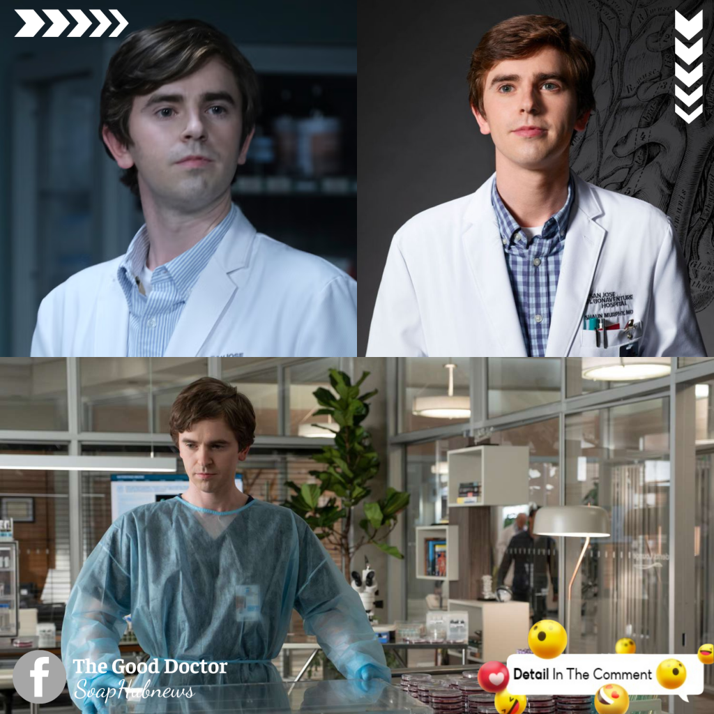 Watch The Good Doctor to be cured by an "autism doctor", to understand ...