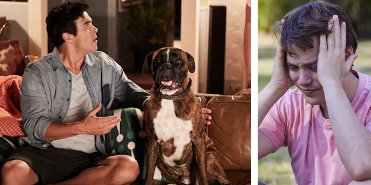 Home and Away Stars Reveal Their Favourite On-Set Companion – Meet Buddy, the Beloved Bay Dog!